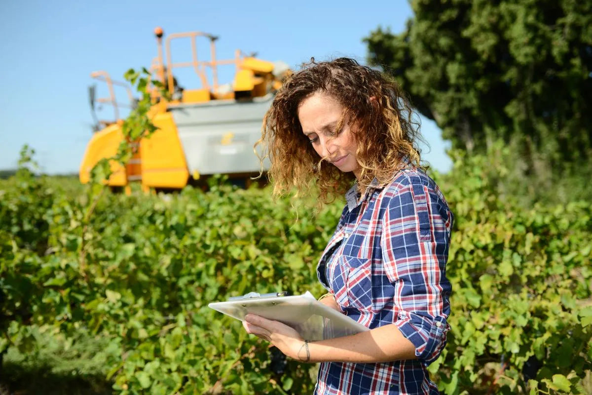 Stropirea vitei de vie - calendar, tipuri de solutii de stropit, echip – Atomico